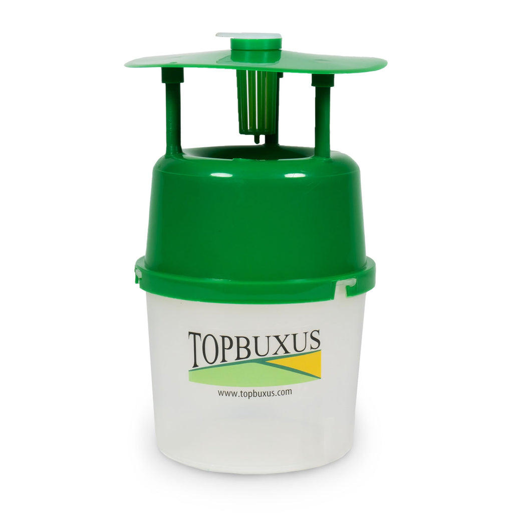 Caterpillar Control For Bushes TOPBUXUS XenTari Box Tree Caterpillar ...